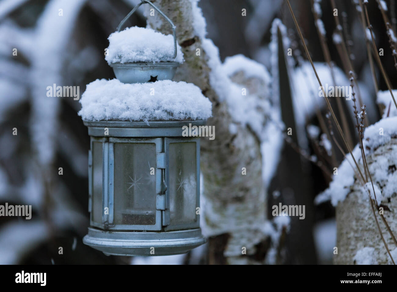 Norwood, London, UK. 3rd February 2015. UK Weather: Snow in South East ...