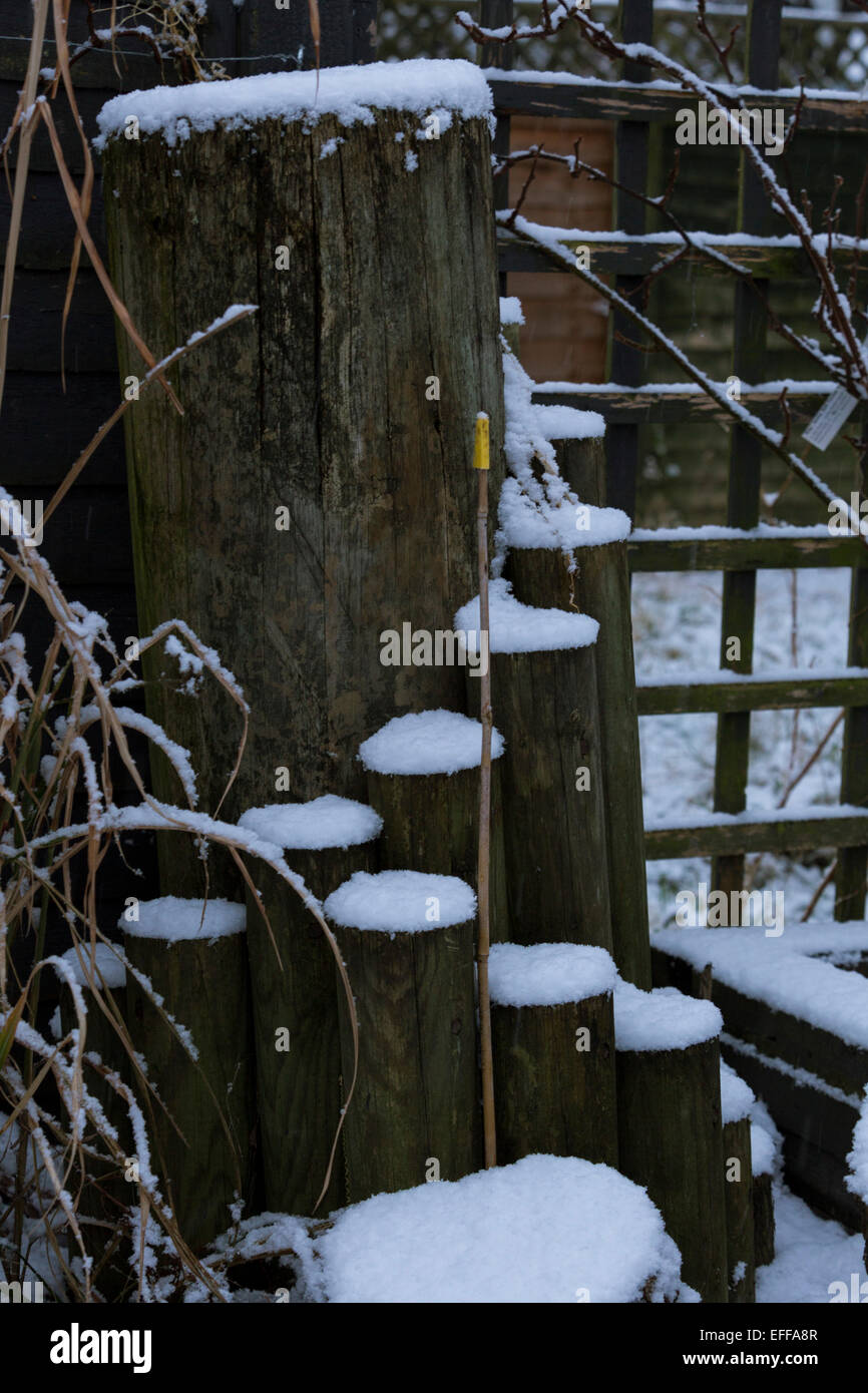 Norwood, London, UK. 3rd February 2015. UK Weather: Snow in South East ...
