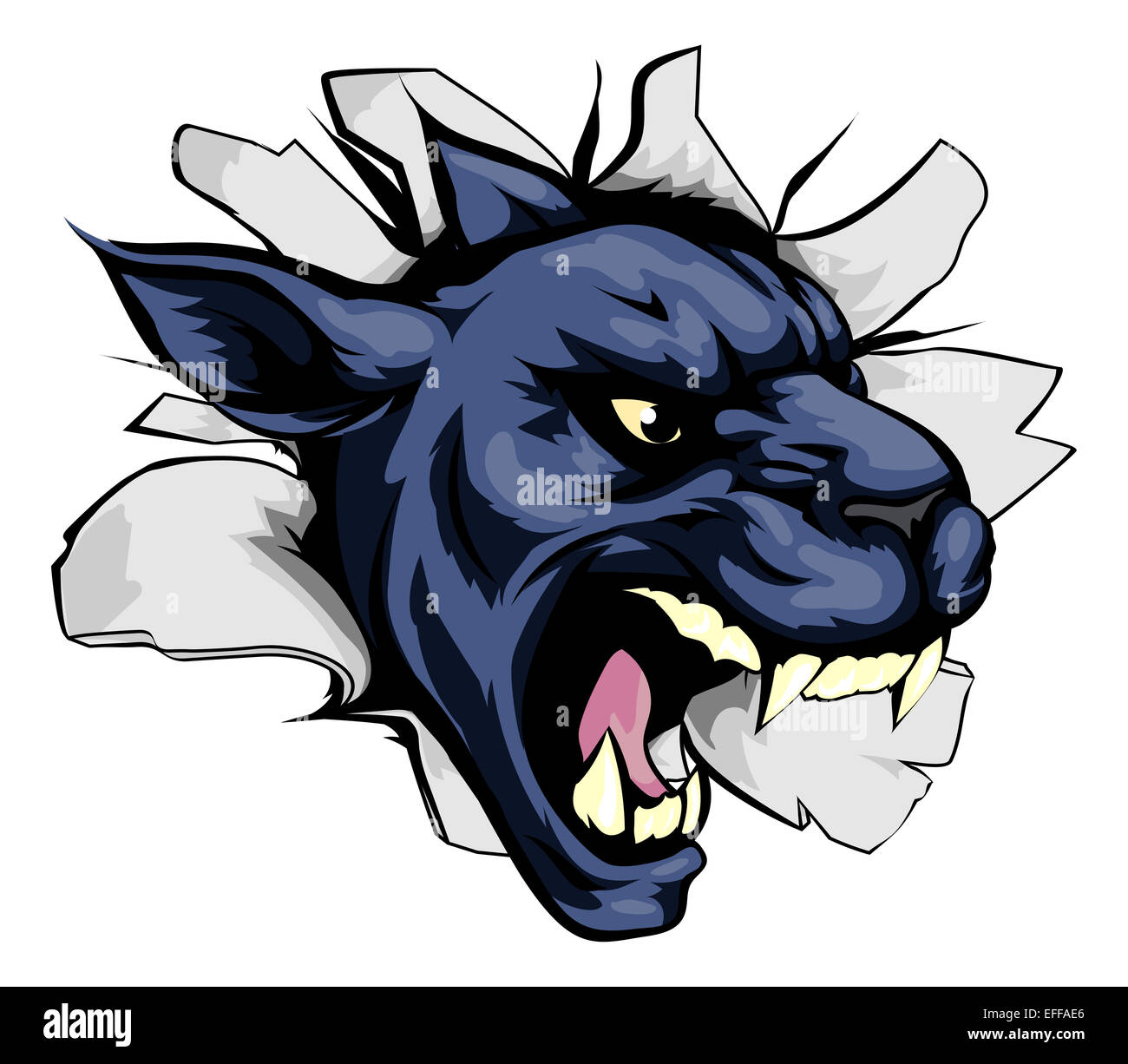 A mean looking panther animal mascot breaking through a wall Stock ...