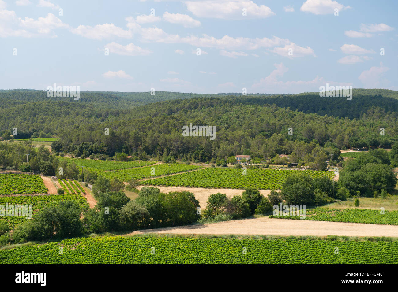 Typical landscape with vineyards in the south of France Stock Photo - Alamy