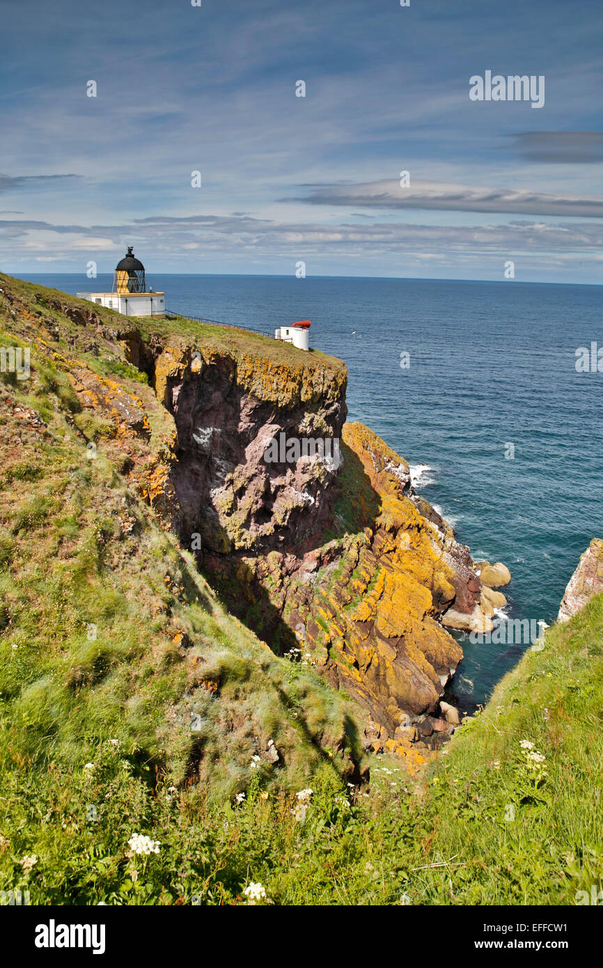 St Abbs; Scotland; UK Stock Photo - Alamy