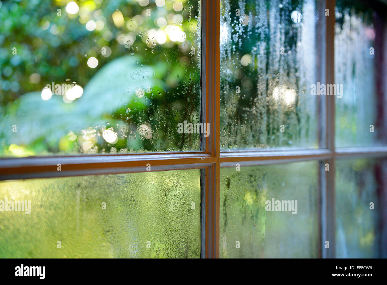 USA, Hawaii, Big Island, Volcano, view through fogged window pane Stock ...