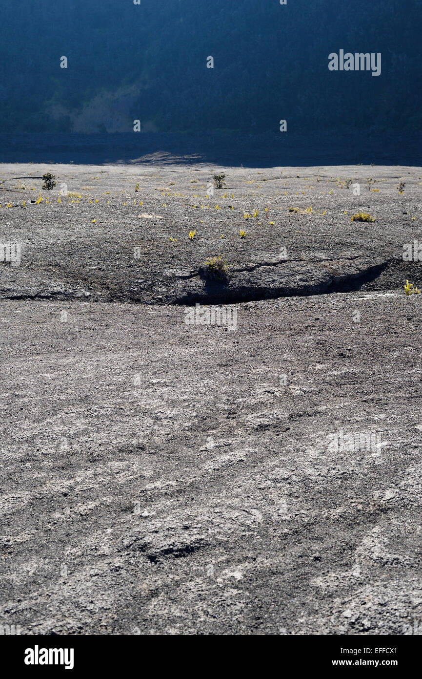 USA, Hawaii, Big Island, Volcanoes National Park, soil of Kilauea Iki ...