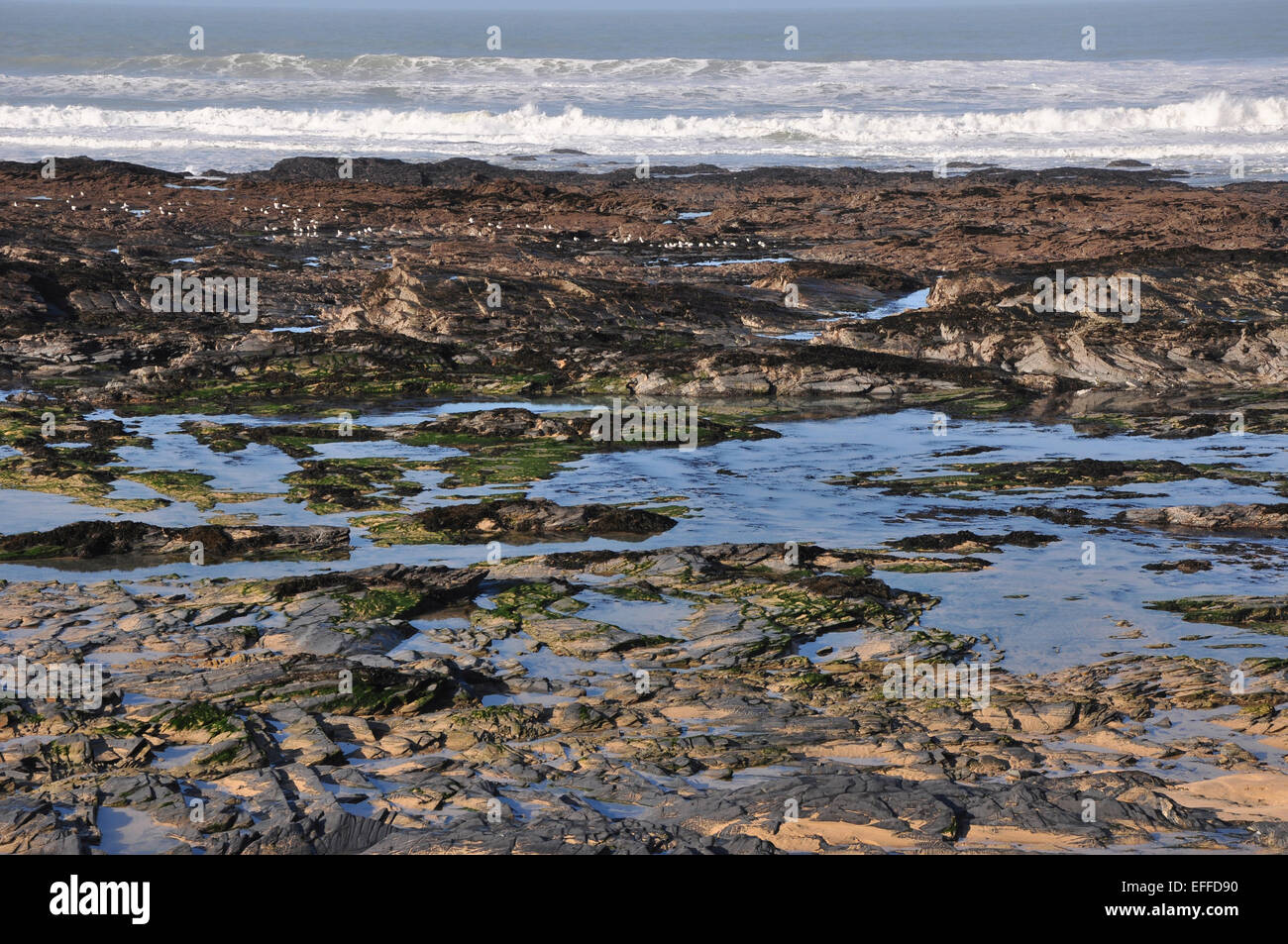 Constantine bay cornwall hi-res stock photography and images - Alamy