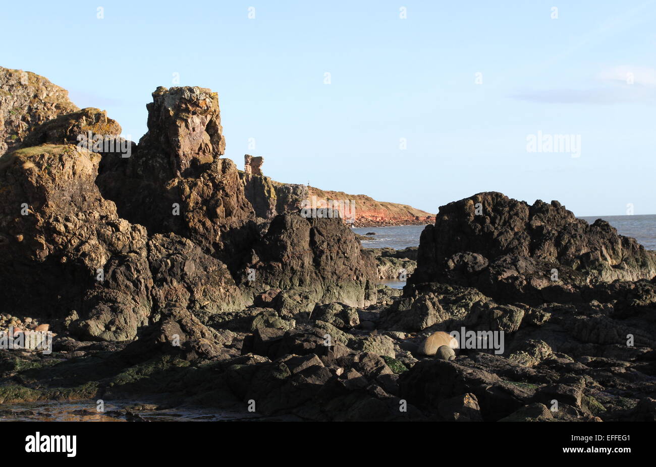 Rocky shore St Cyrus Nature Reserve Scotland January 2015 Stock Photo ...