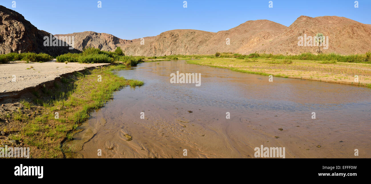 Namibia, Kaokoland, Namib Desert, running water and green vegetation ...