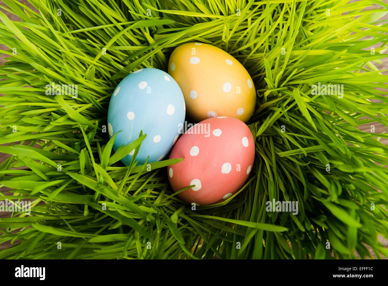Easter eggs on green grass Stock Photo - Alamy