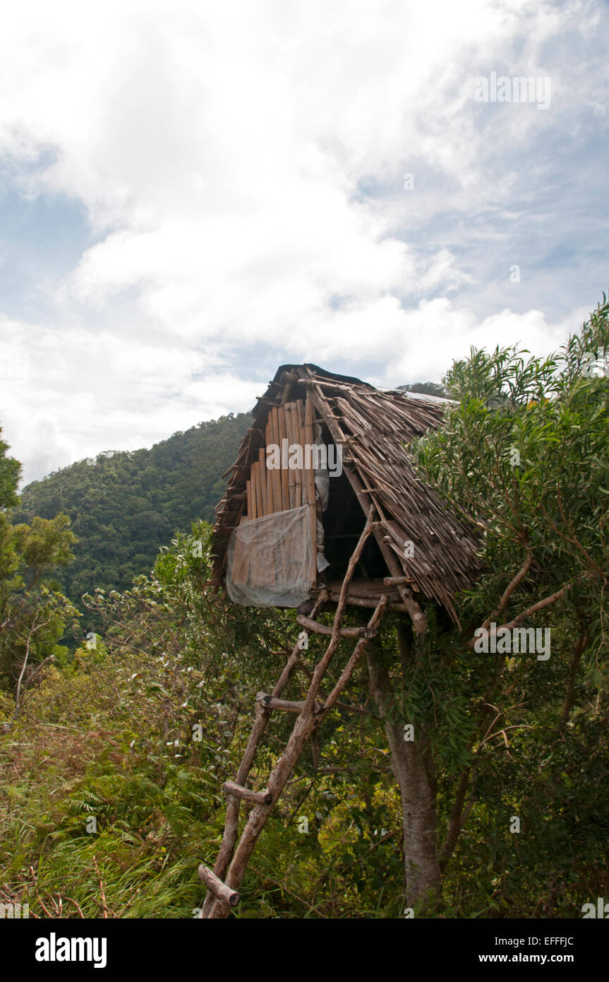 Container ship jungle hi-res stock photography and images - Alamy