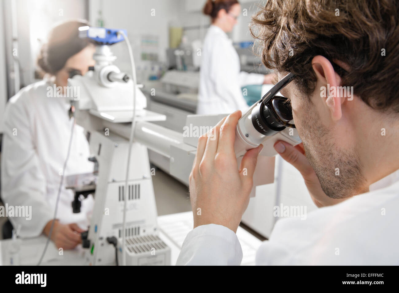 Scientists working in laboratory, microscope Stock Photo - Alamy