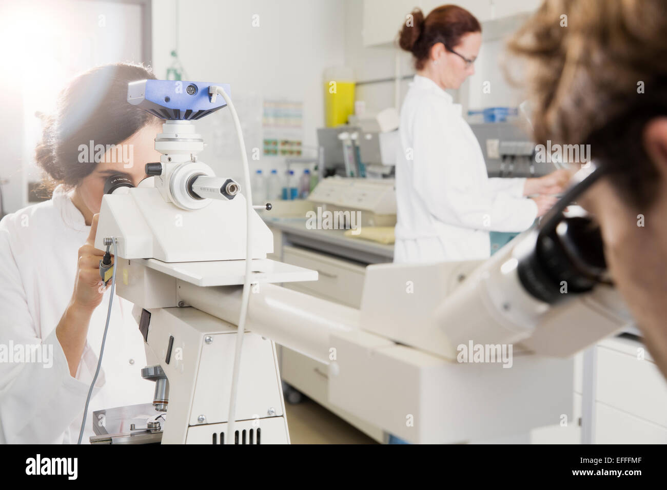 Scientists working in laboratory, microscope Stock Photo - Alamy