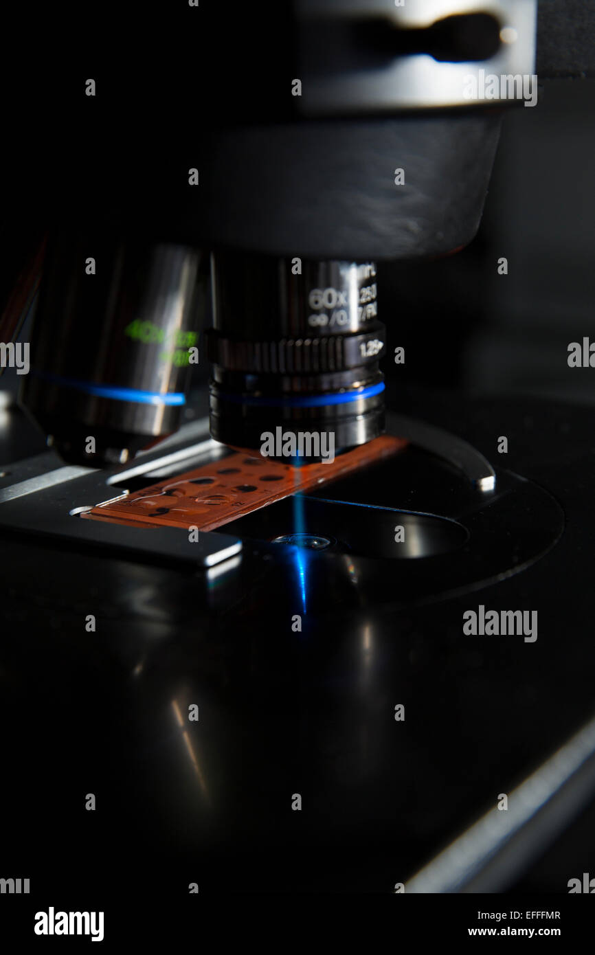 Fluorescence microscope image hi-res stock photography and images - Alamy