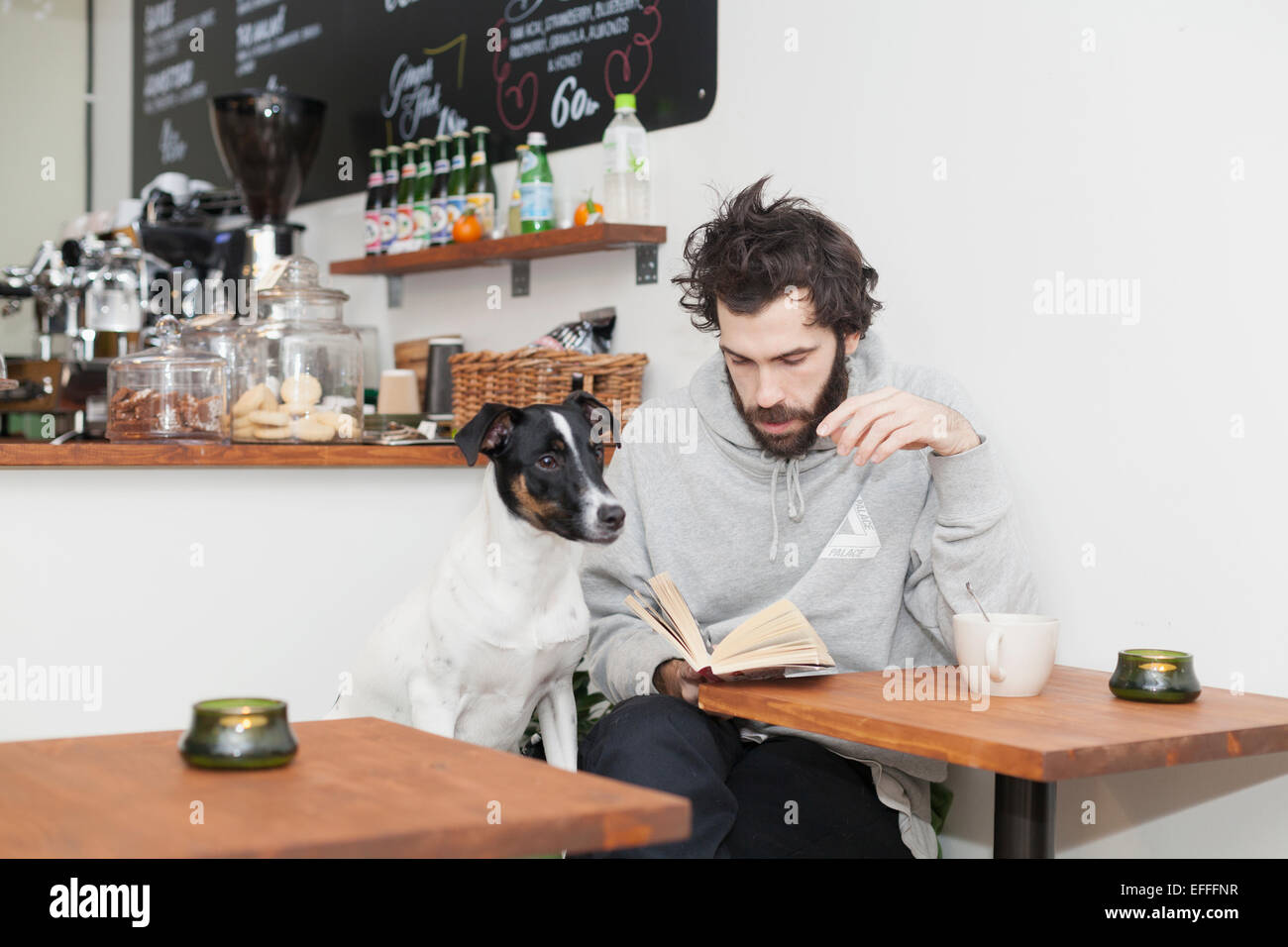 Dog man book hi-res stock photography and images - Alamy