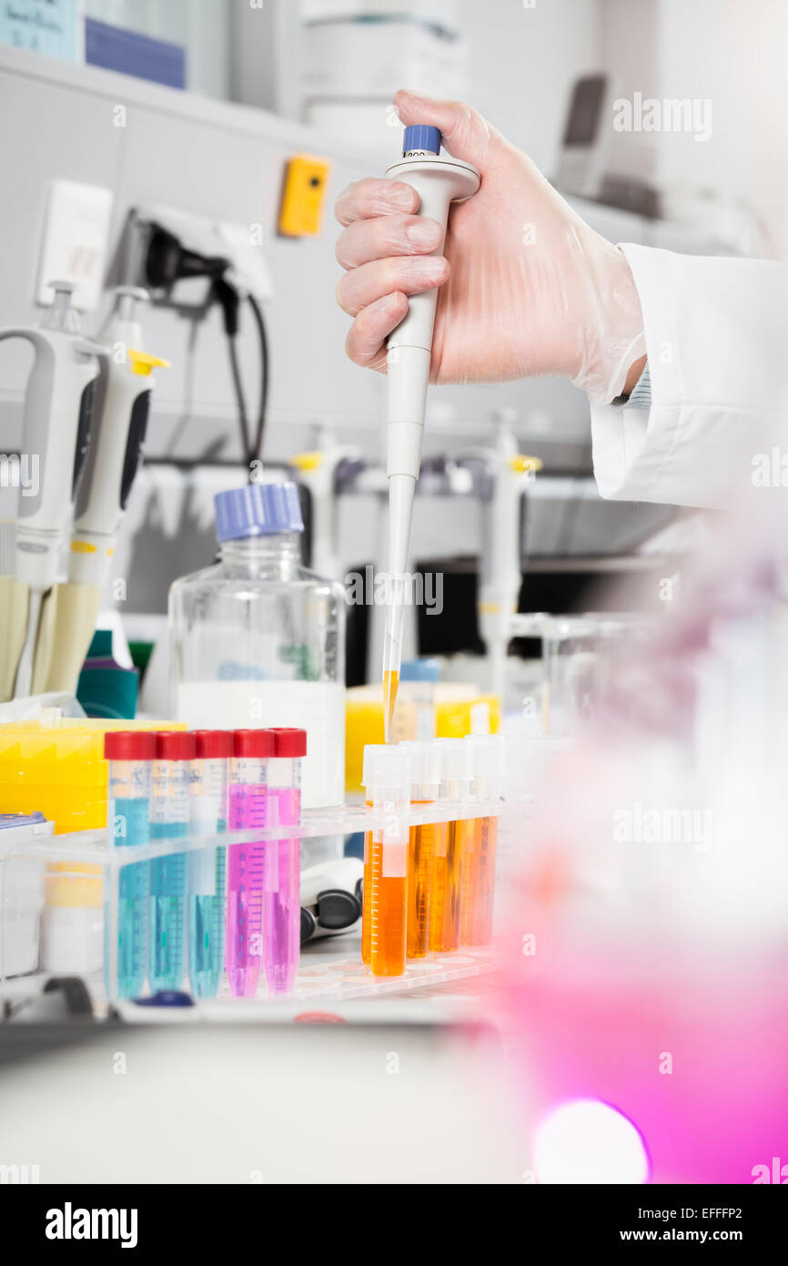 Germany, Berlin, Laboratory technician working with test tubes and ...