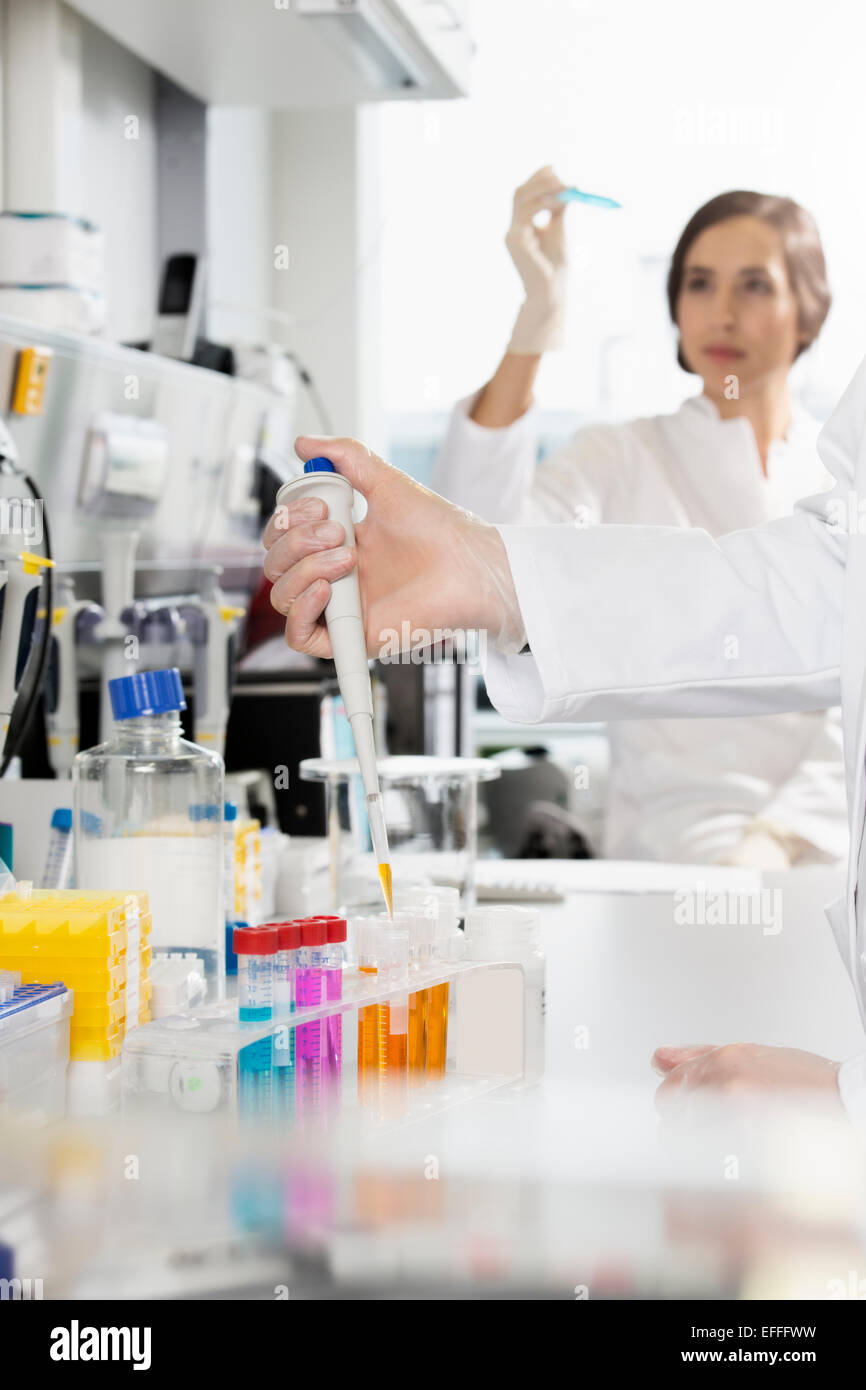 Scientists working in laboratory, Test tubes and pipette Stock Photo ...