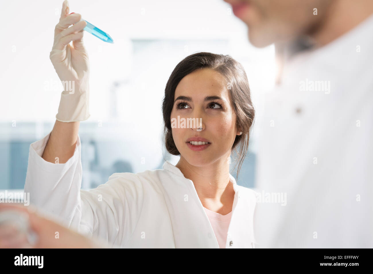 Scientists checking a test Stock Photo - Alamy