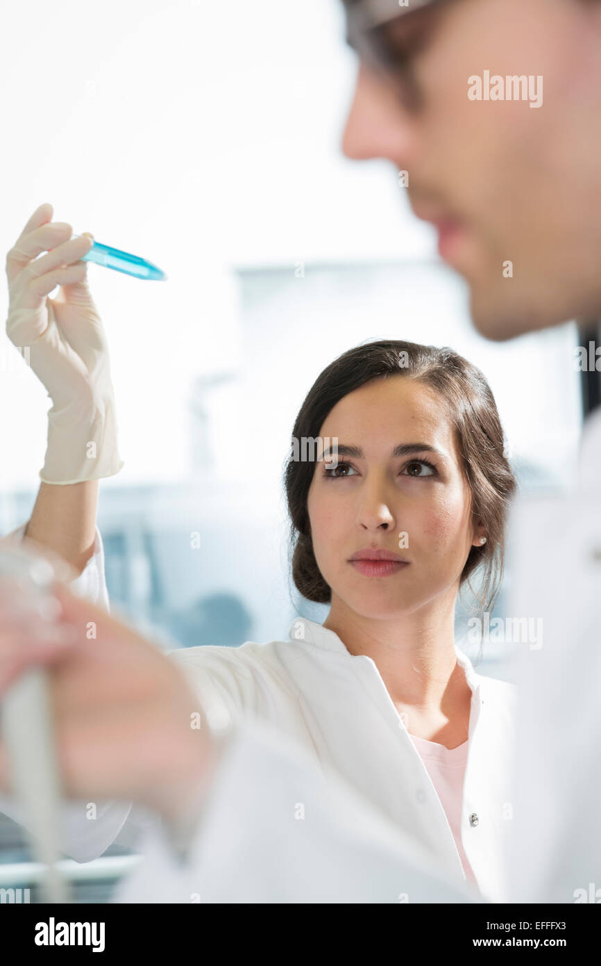Scientists checking a test Stock Photo - Alamy