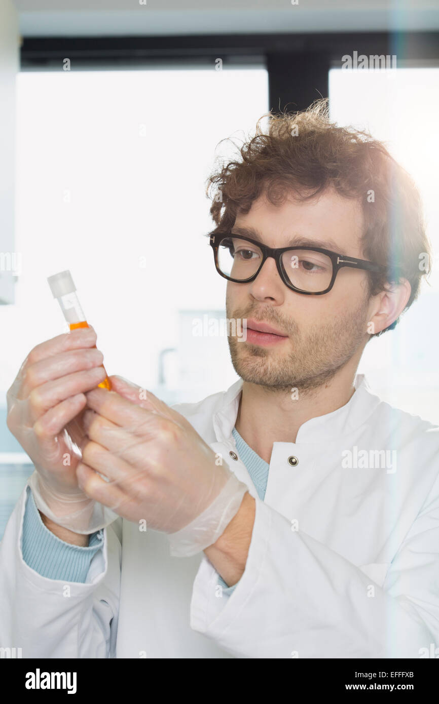 Scientist checking test tube Stock Photo - Alamy