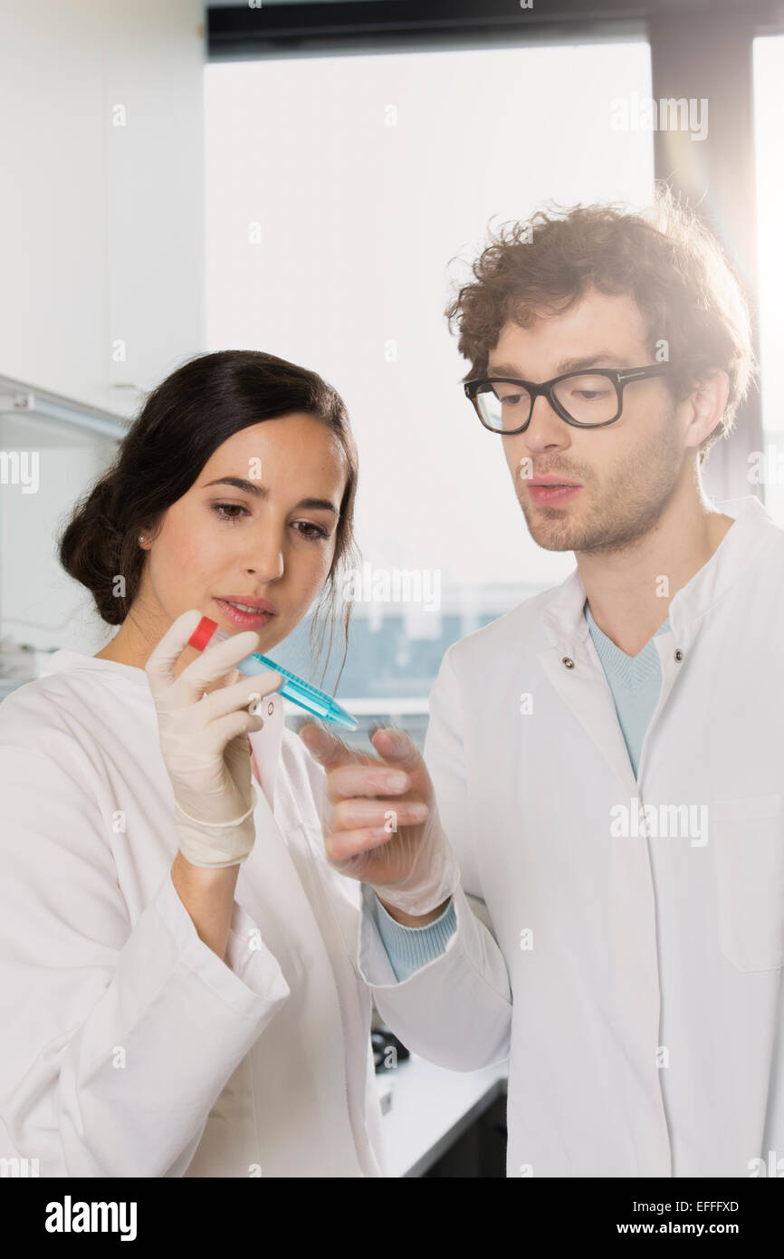 Scientists checking a test Stock Photo - Alamy