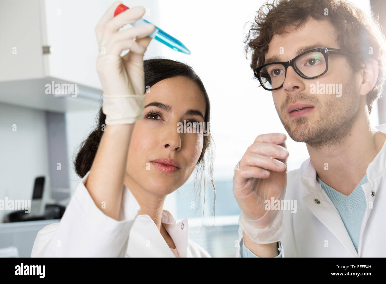 Scientists checking a test Stock Photo - Alamy