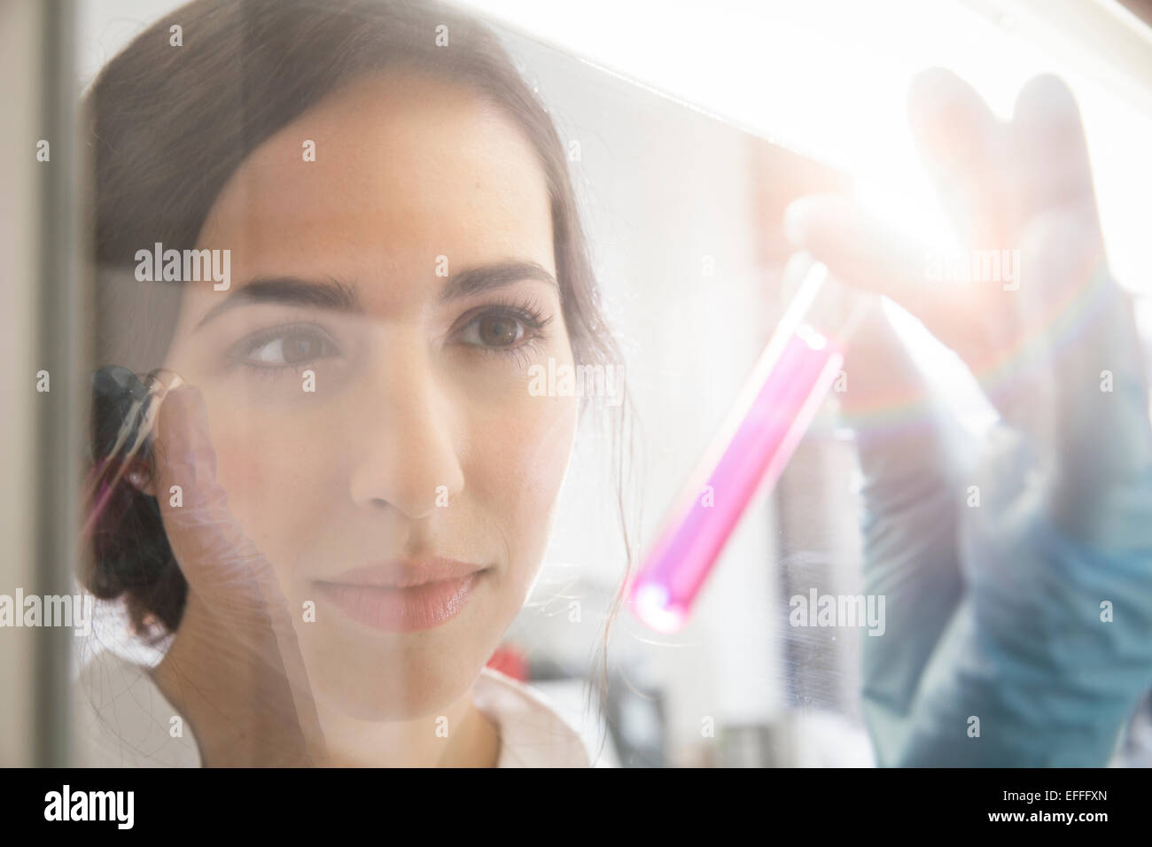 Germany, Berlin, female researcher working in laboratory Stock Photo ...