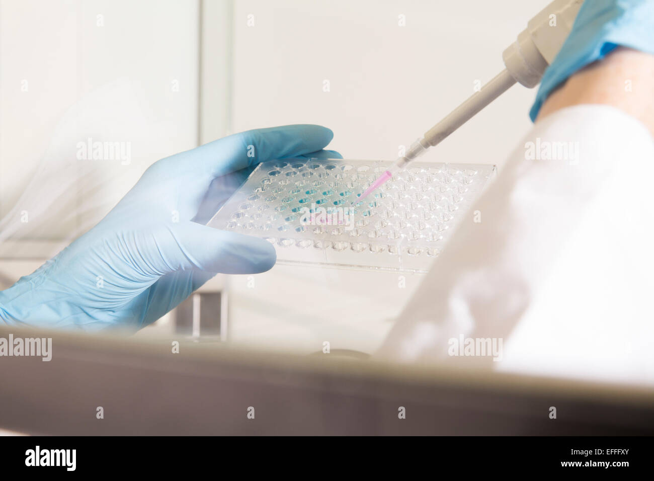 Scientist working in laboratory, Pipette and test tubes Stock Photo - Alamy