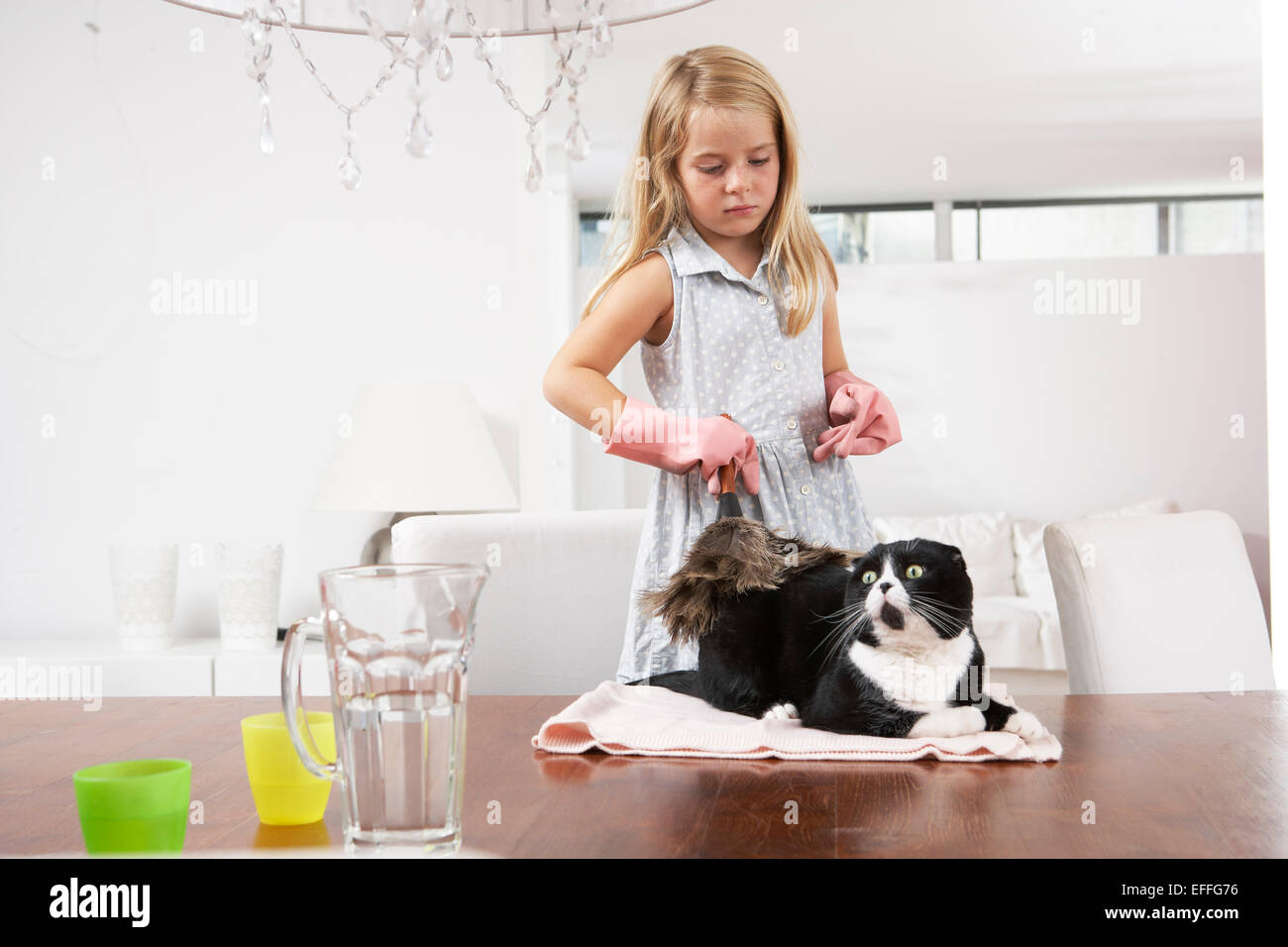 Girl cat feather hi-res stock photography and images - Alamy