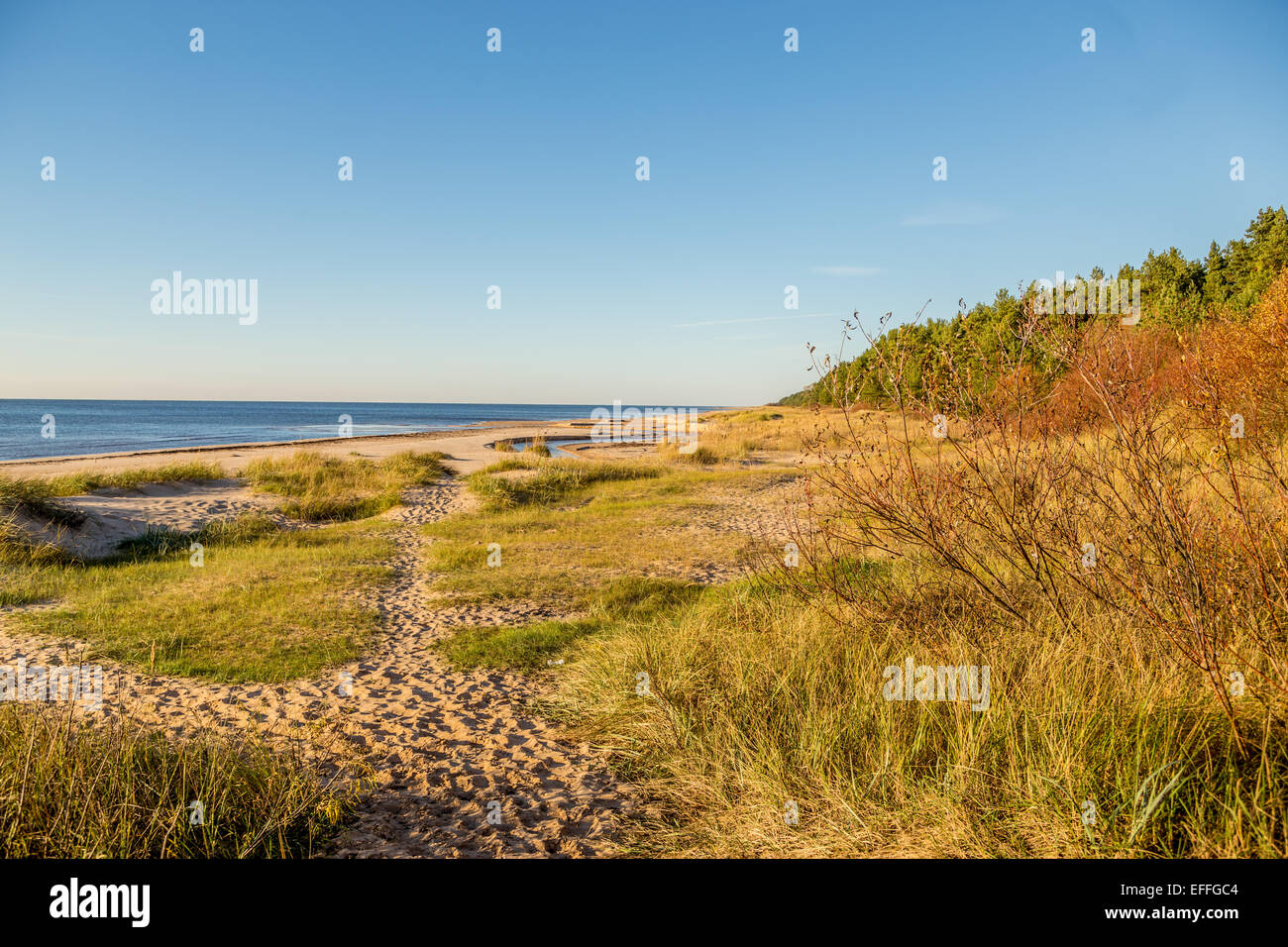 Baltic Coast, Estonia Stock Photo - Alamy