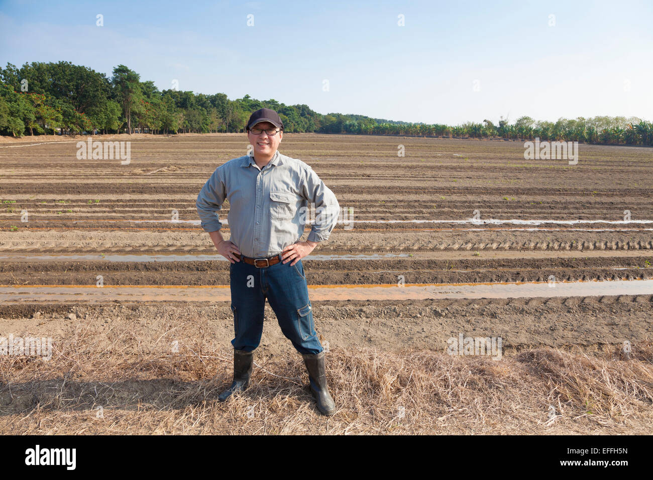 asian Farmer standing on farming land Stock Photo - Alamy