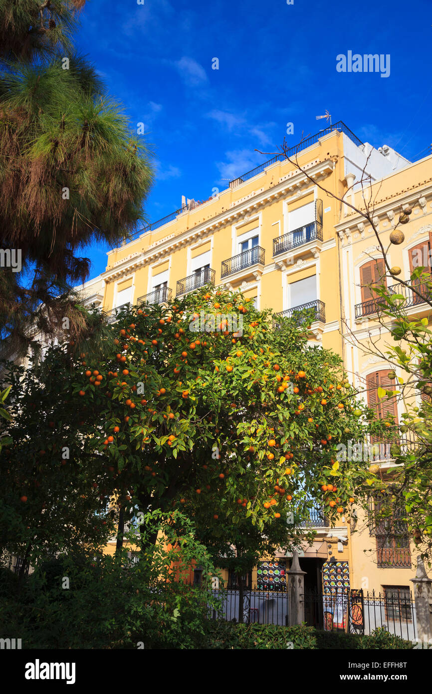 Old quarters valencia hi-res stock photography and images - Alamy