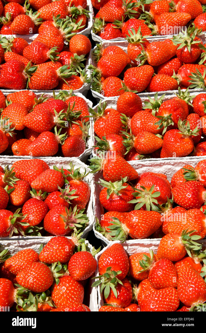 Rows of boxes hi-res stock photography and images - Alamy