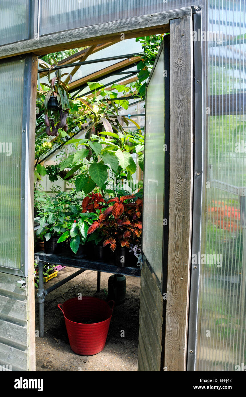Entrance to greenhouse showing plants inside, Freightliner's City Farm ...