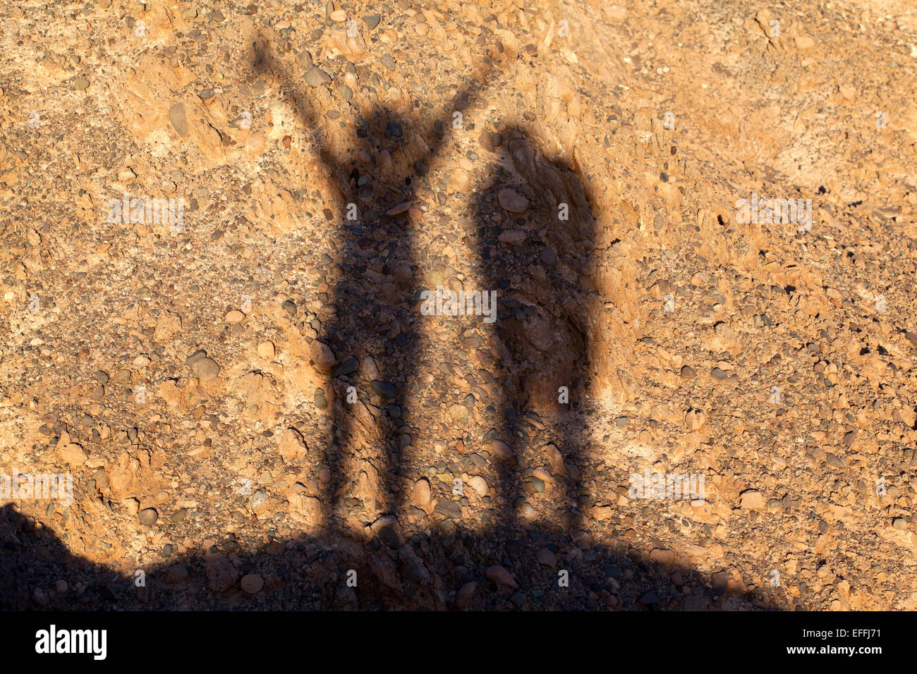 Moon human landscape landscape hi-res stock photography and images - Alamy