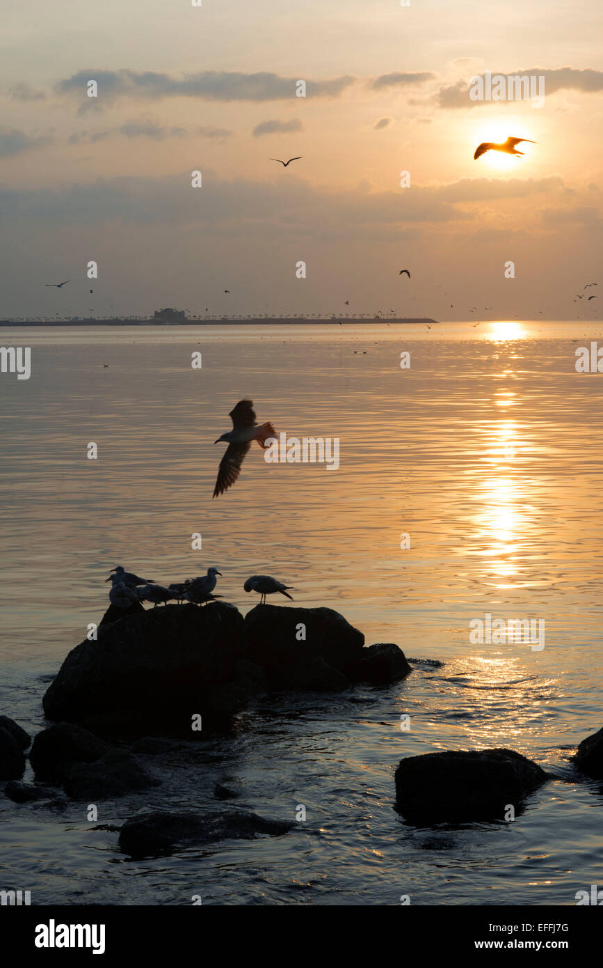 Skyline, Panama City, Panama, Central America. Cinta Costera Pacific ...