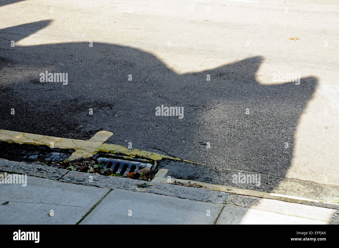 Cat road shadow hi-res stock photography and images - Alamy