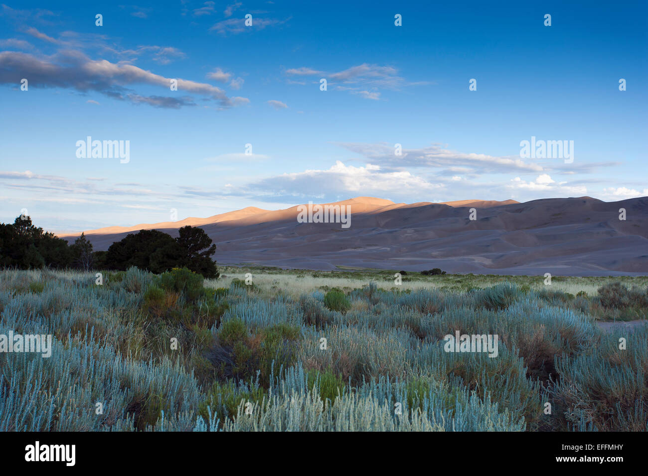USA, Colorado, Great Sand Dunes National Park and Preserve Stock Photo ...