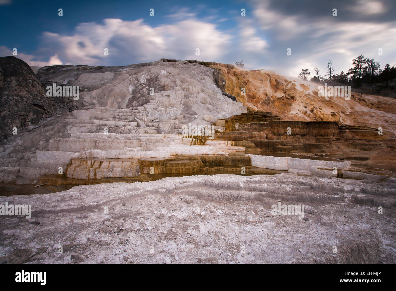 USA, Wyoming, Mammoth Hot Springs, Yellowstone National Park Stock ...