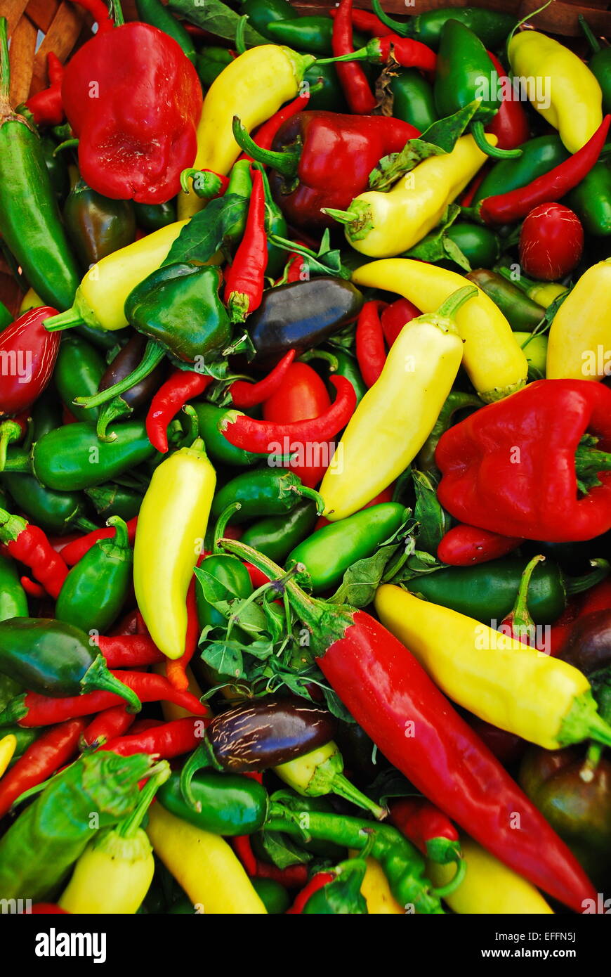 Colorful peppers bunch closeup Stock Photo - Alamy