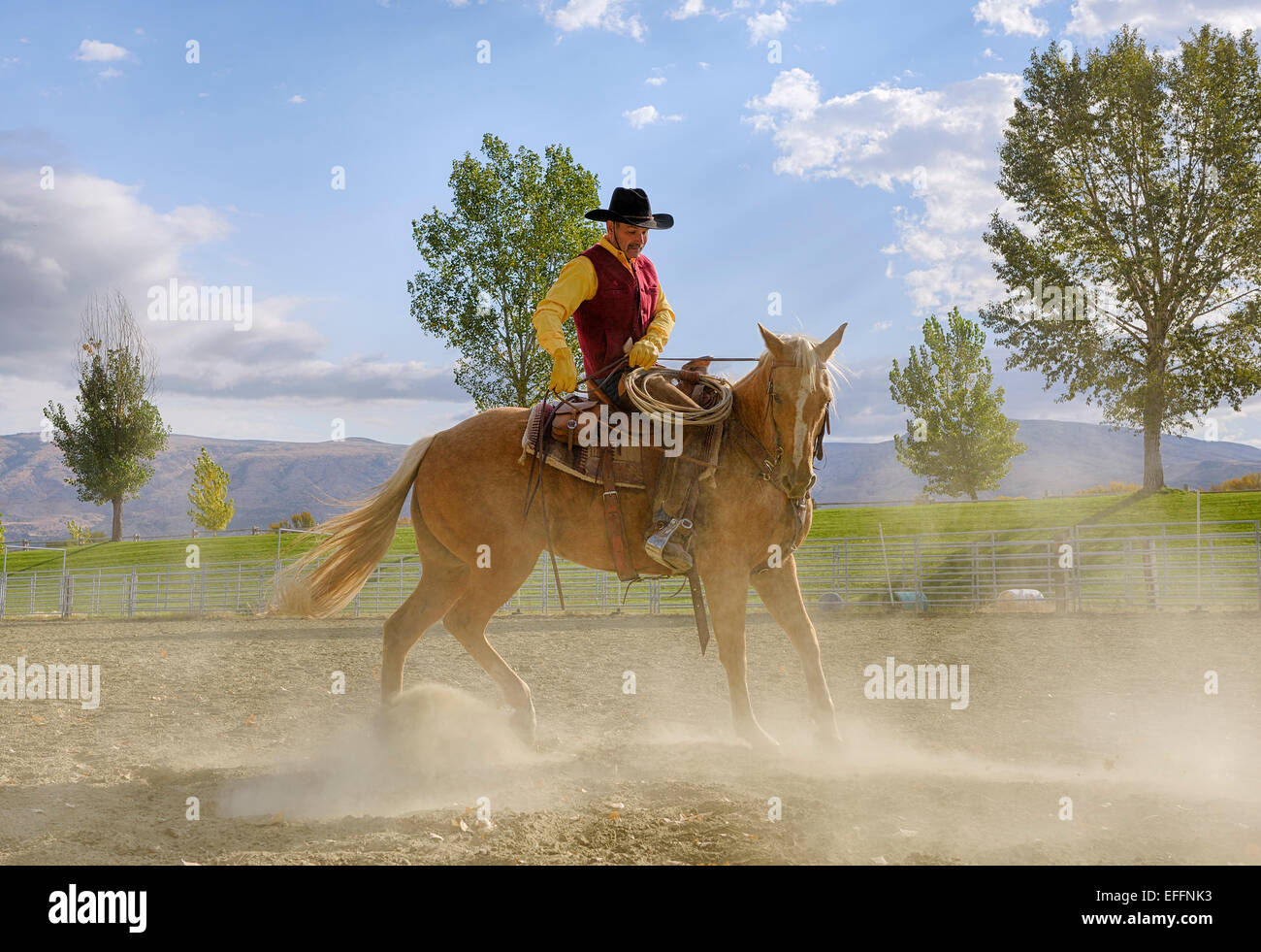 USA, Wyoming, Cowboy working with horse Stock Photo - Alamy