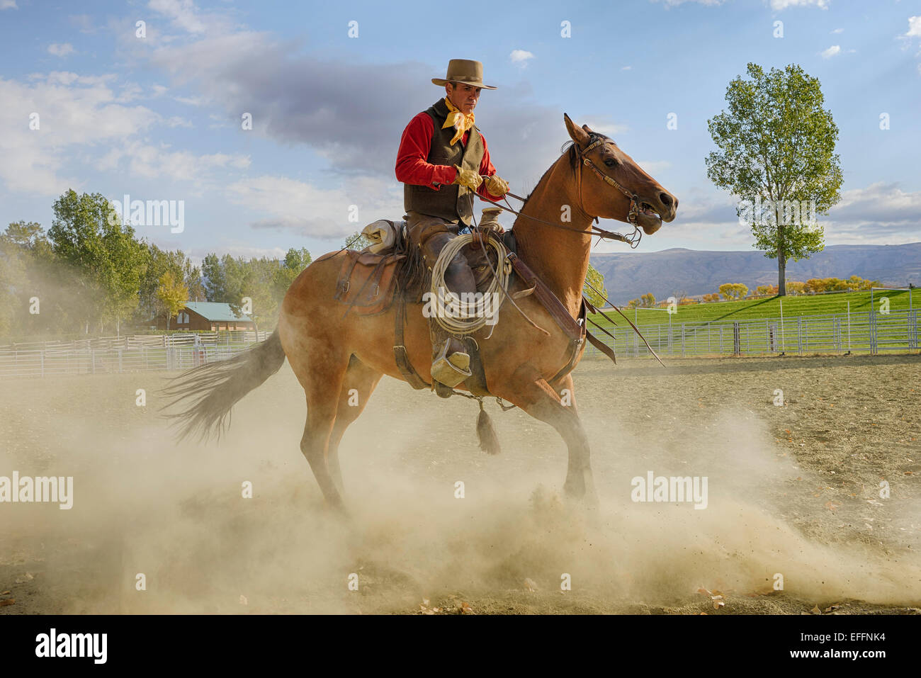 USA, Wyoming, Cowboy working with horse Stock Photo - Alamy