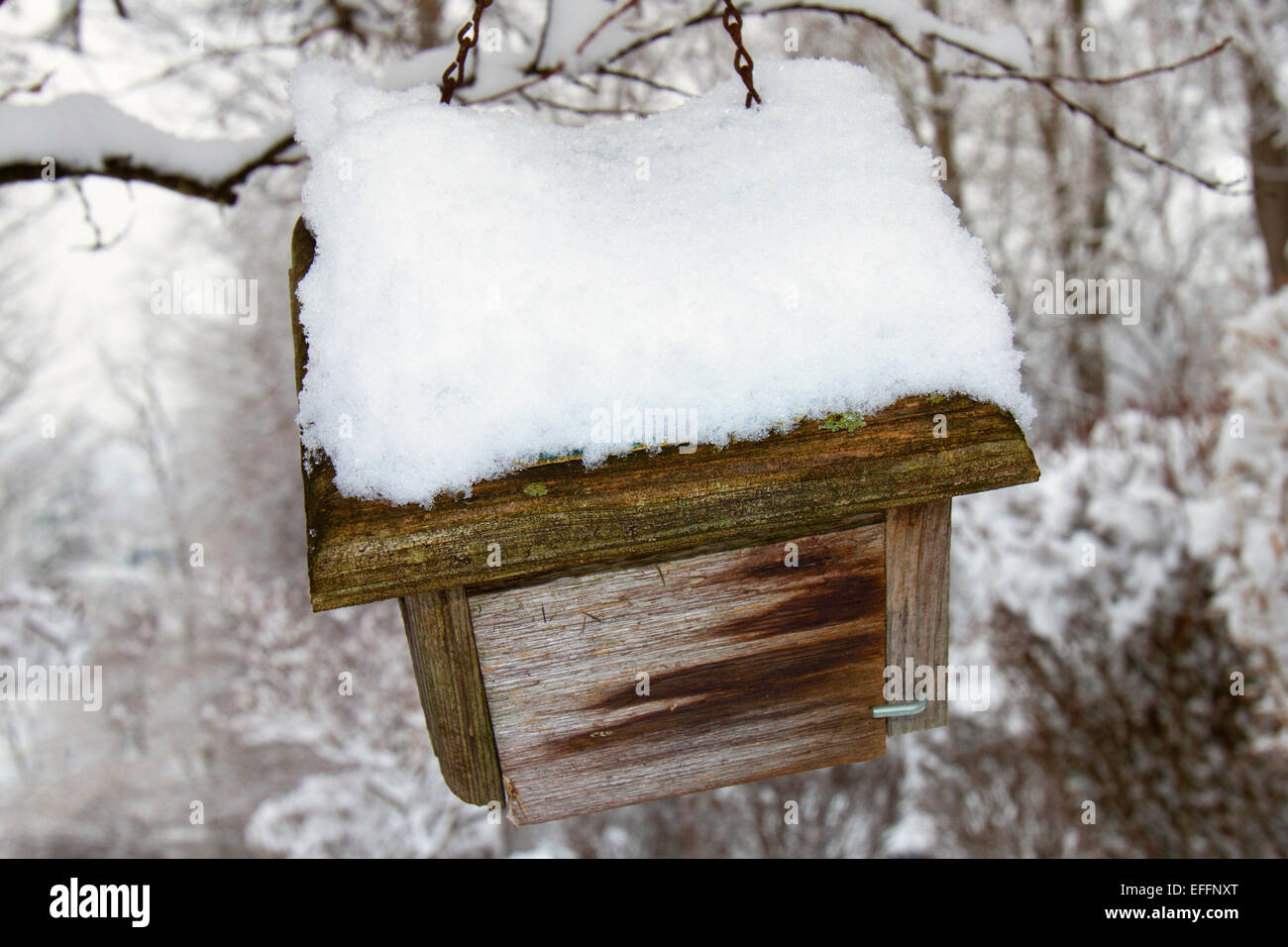 Bird house hanging in tree covered in snow Stock Photo - Alamy