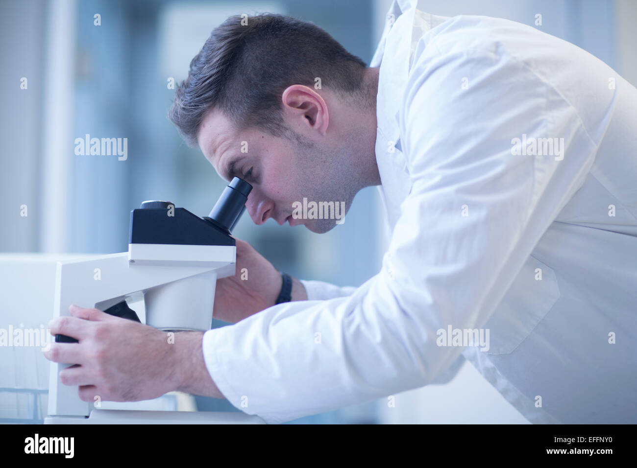 Scientist in lab looking through light microscope Stock Photo - Alamy