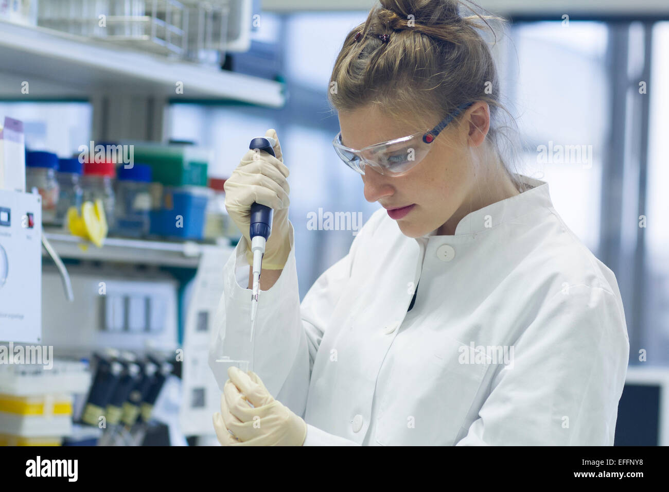 Biologist working in laboratory with pipette Stock Photo - Alamy