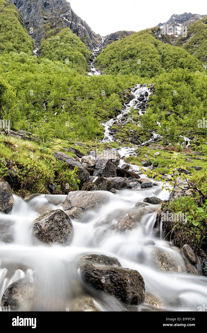 Norway, Nordland, Saltfjellet?Svartisen National Park, mountain stream ...