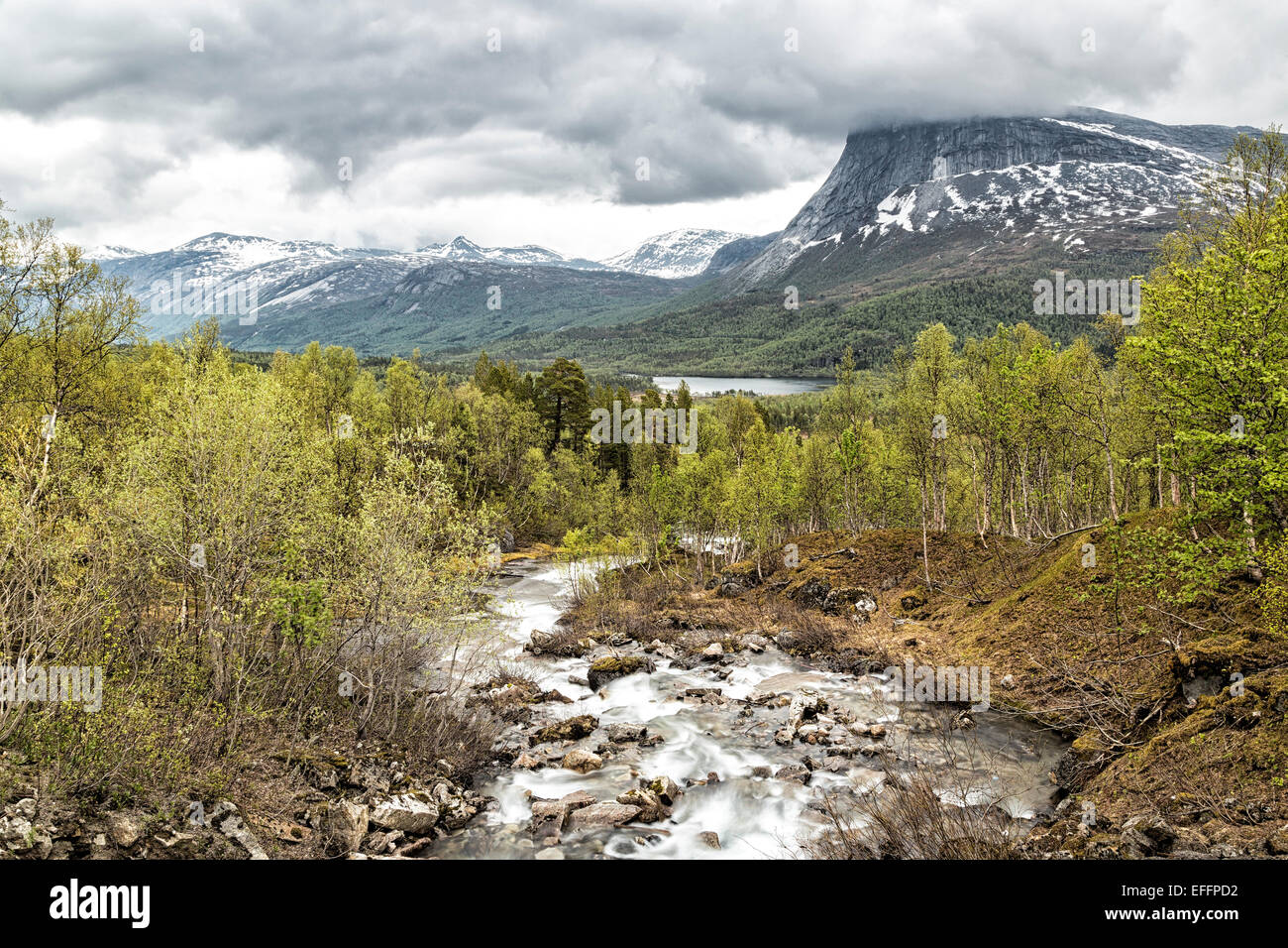 Svartisen saltfjellet national park hi-res stock photography and images ...