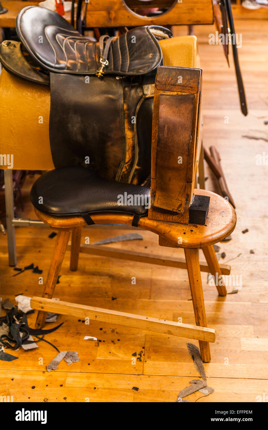 Lacing pony hi-res stock photography and images - Alamy