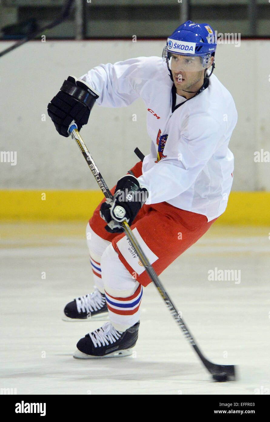 Martin Rucinsky, player of Czech National Ice Hockey Team, is seen ...