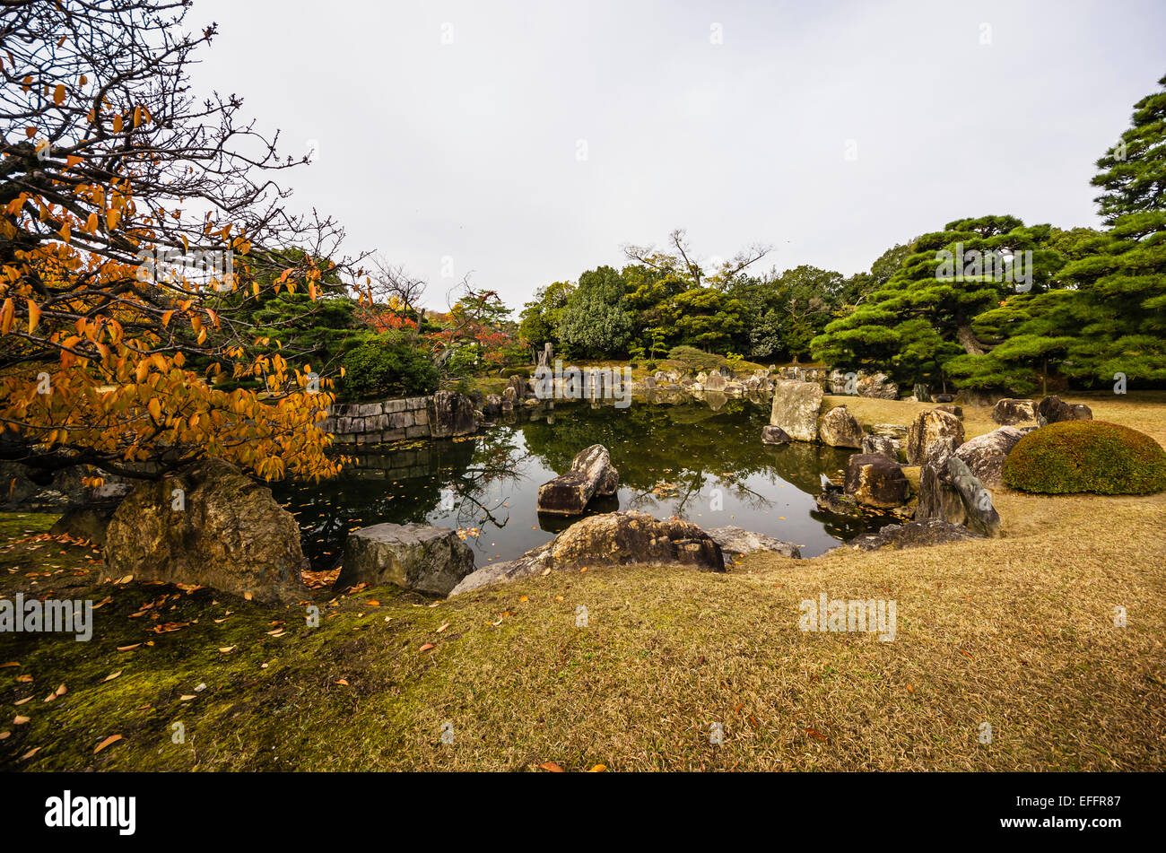 Japan, Kyoto, Nijo Castle, Pond in Castle park Stock Photo - Alamy