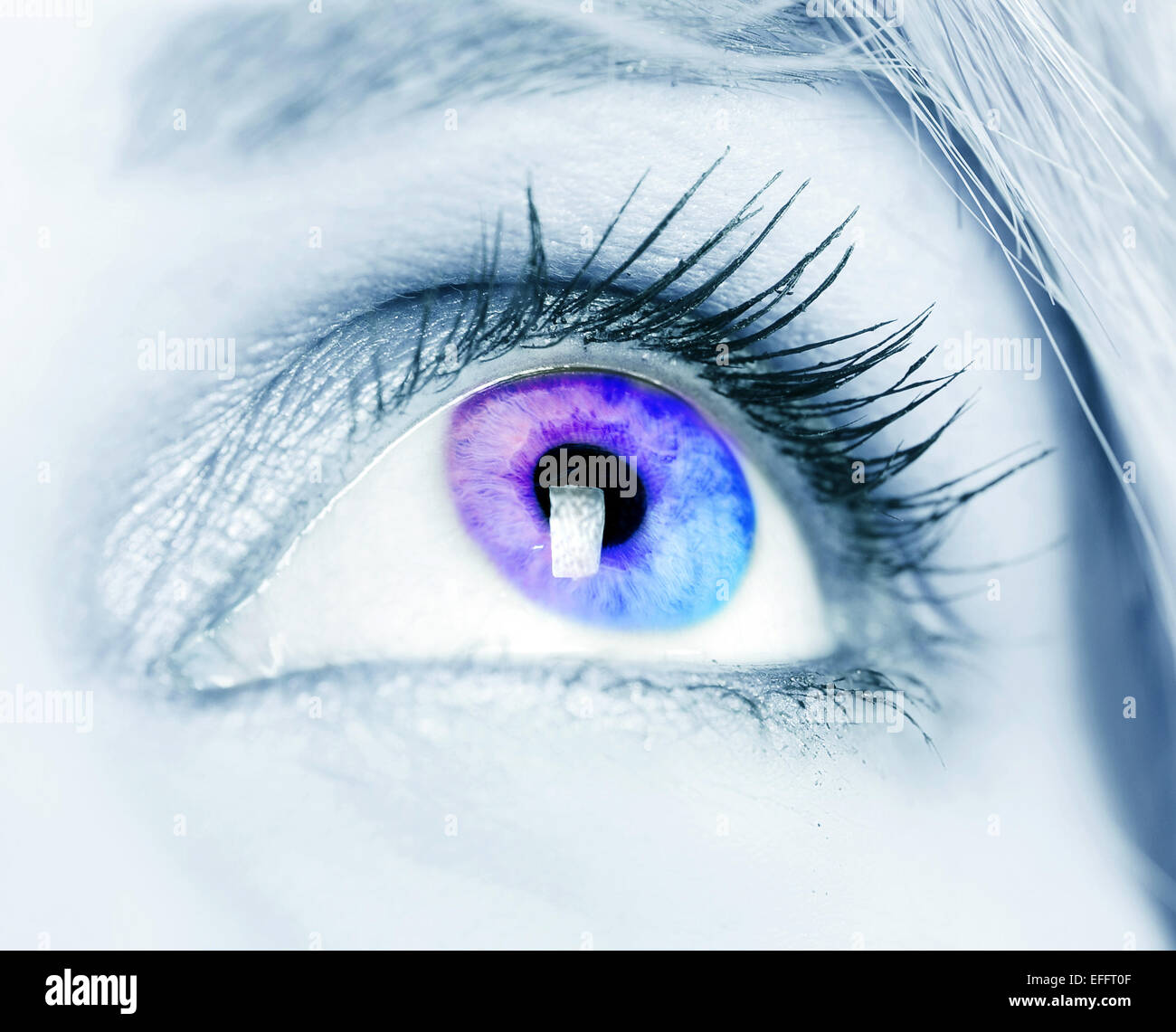 Eyeball awake hi-res stock photography and images - Alamy