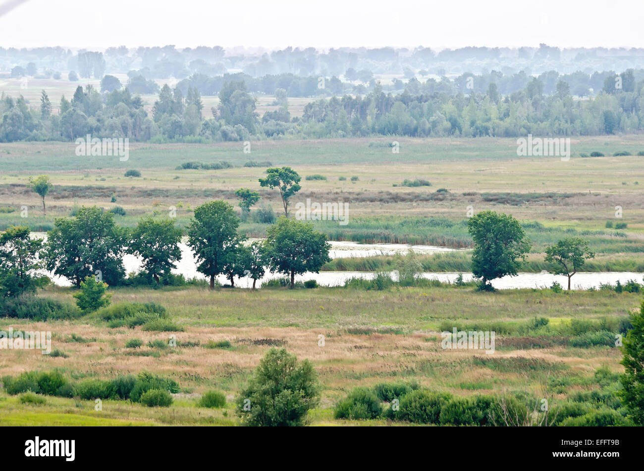 Alluvial flood plain hi-res stock photography and images - Alamy