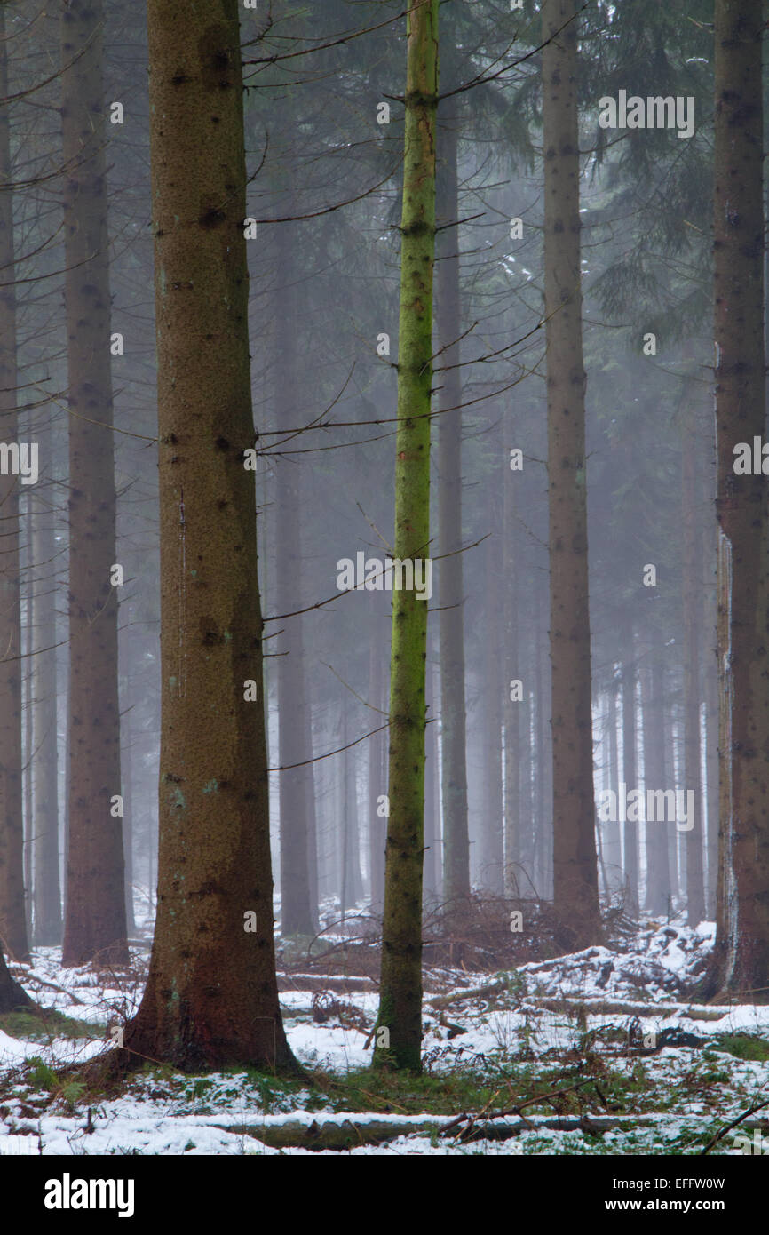 Grey mist hi-res stock photography and images - Alamy